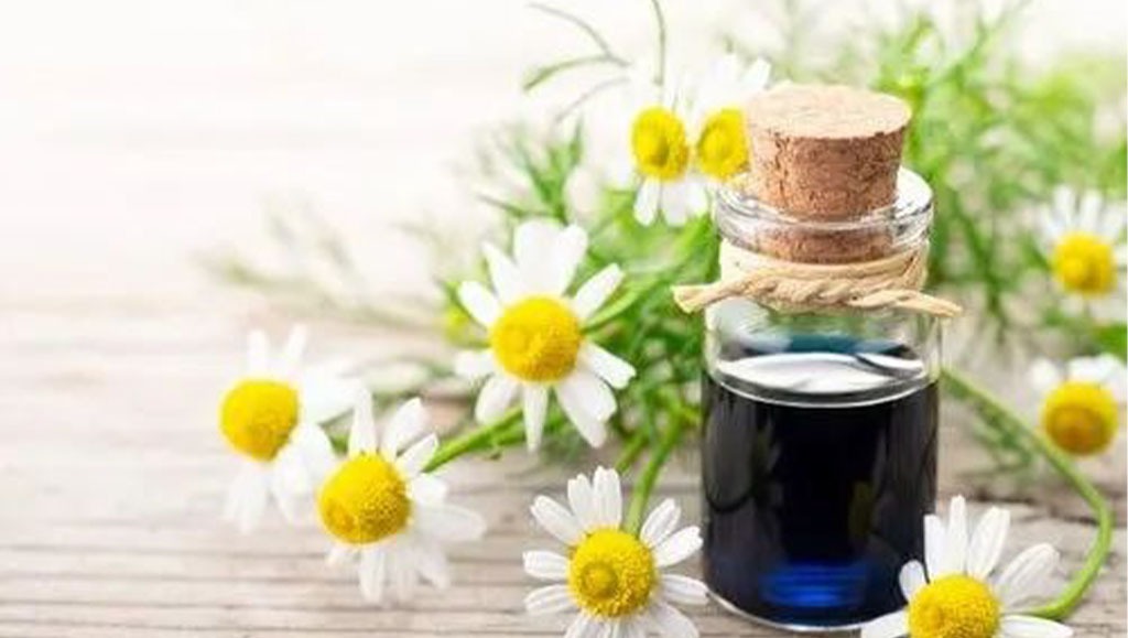 Home| Bodhi Naturals | Essentails Oils, Levender Oils, Diffuser Oils ...